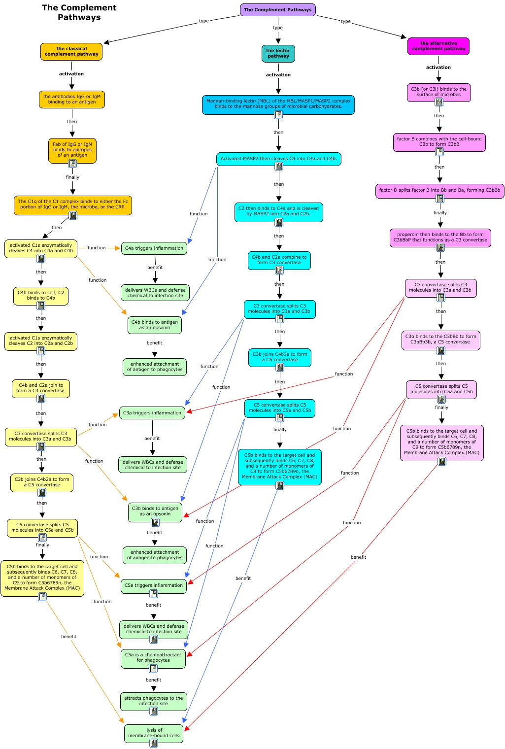 Answers_complement_pathways.html